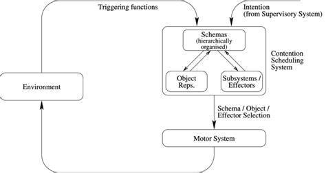 Functional Components Of The Interactive Activation Model Object Reps