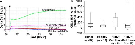 a functional signal profiling test for identifying a subset of her2
