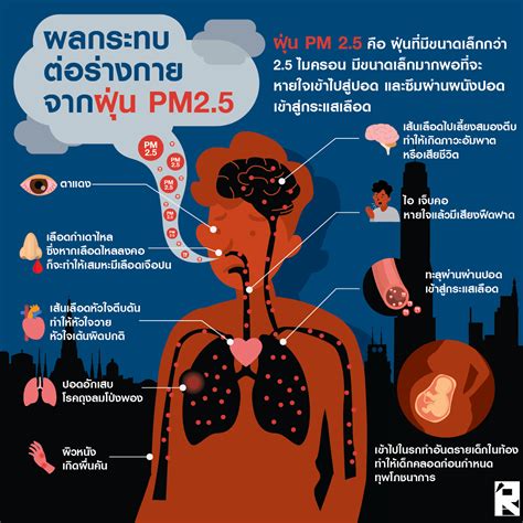 แพทย์ชี้ฝุ่น Pm 2 5 เล็กทะลุปอดเข้ากระแสเลือด