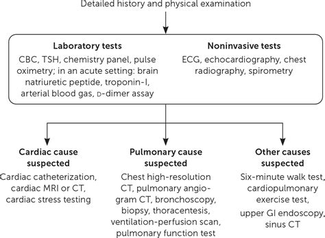 Shortness Of Breath Diagnostic Algorithm At Steve Stults Blog