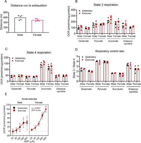 Influence Of Biological Sex And Exercise On Murine Cardiac Metabolism PMC