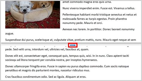 How To Use The Split View In Adobe Acrobat PC Mac