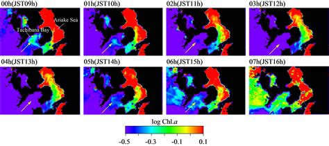 chlorophyll a estimation in tachibana bay by data fusion of goci and