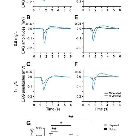 Electroantennography Eag Recordings Following Learning Acquisition