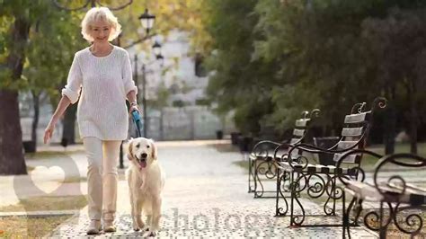 Understanding Behavior Activation For Emotional Well Being Psychology Fanatic