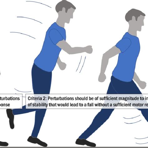 The Two Key Criteria For Perturbation Based Balance Training Download