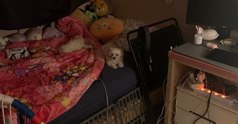 총체적 난국이던 방 벙커침대 하나로 이렇게까지 바뀐다고 집꾸미기