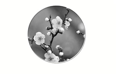 钱江晚报