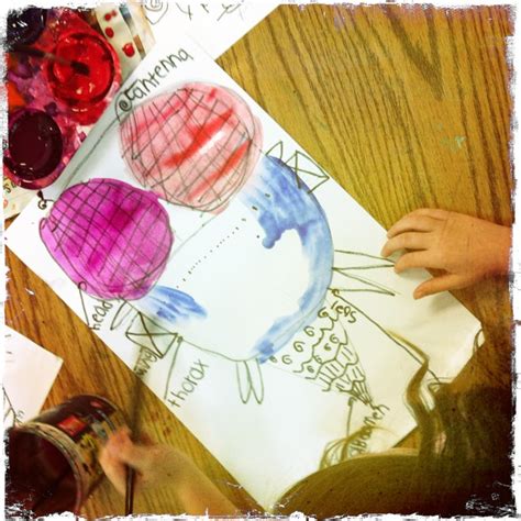 ChumleyScobey Art Room St Grade Insect Diagrams