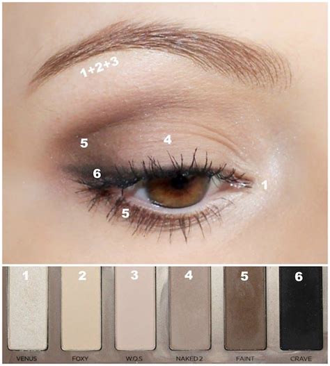 Beauty Natural Makeup Look Eyeshadow Master The Natural Makeup Look