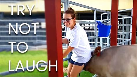 [2 Hr] Try Not To Laugh Challenge 🤣 🤣 Best Of The Worst Fails Funny
