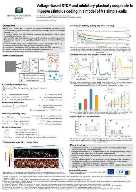 Pdf Voltage Based Stdp And Inhibitory Plasticity Cooperate To Improve Stimulus Coding In A