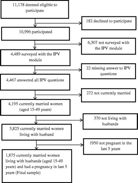 Selection Of The Sample Download Scientific Diagram
