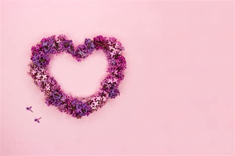 파스텔 핑크 배경에 마음의 모양의 아름다운 라일락 꽃입니다 맨 위 보기 공간을 복사합니다 꽃 나무에 대한 스톡 사진 및 기타 이미지 Istock