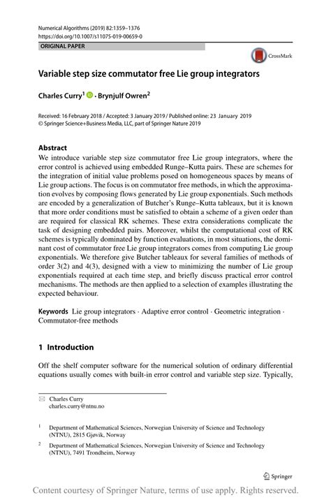 Variable Stepsize Commutator Free Lie Group Integrators