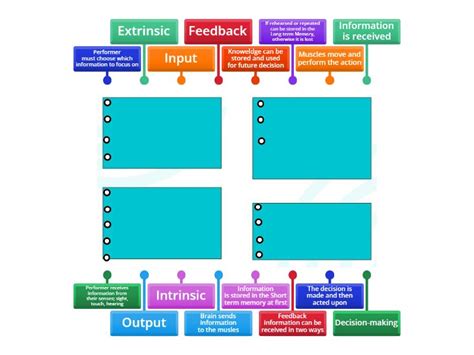 Information Processing Model Recap Labelled Diagram
