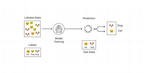 Top Data Science Projects In Python With Source Code