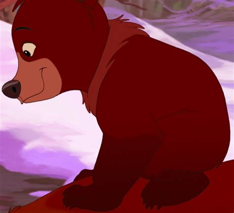 The Grizzly Bear Cub Koda The 2d Animated Wiki Fandom