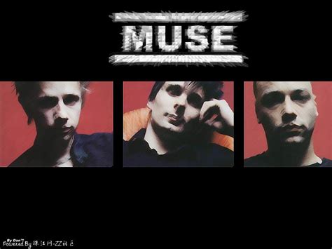Muse360百科