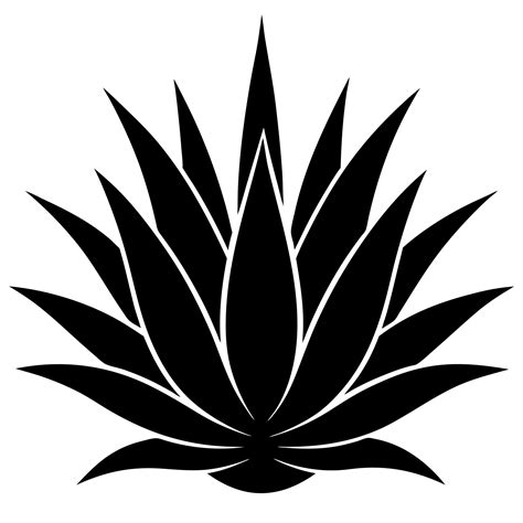 Un Negro Y Blanco Ilustración De Un Agave Silueta 46832280 Vector En Vecteezy