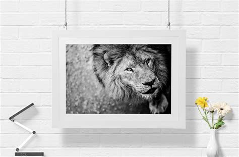 Lion Print Lion Wall Art Black And White Safari Nursery Etsy