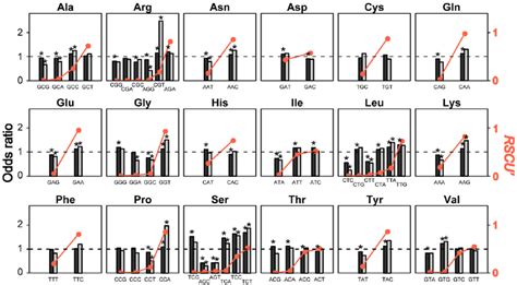 Matches And Mismatches Between Preferred Codons And Accurate Codons In