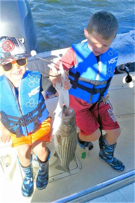 New Regulations For Striped Bass On The Way Cranston Herald