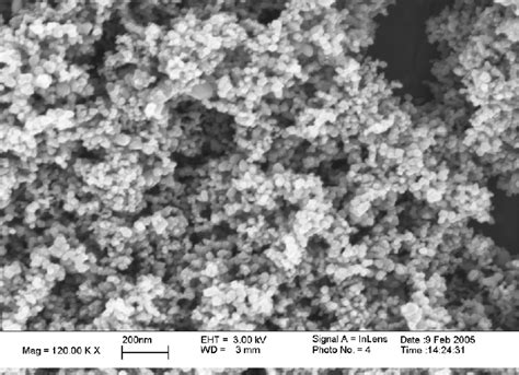 SEM Image Of TiO Nanoparticles Download Scientific Diagram
