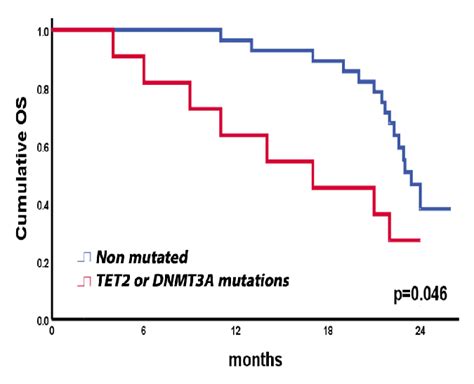 Os Of Cn Aml Cases With Tet2 Or Dnmt3a Mutations Versus Those With No