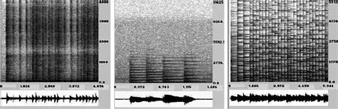 Three Spectrograms A Spectrogram Of A Drum Solo From A Rock Song Download Scientific