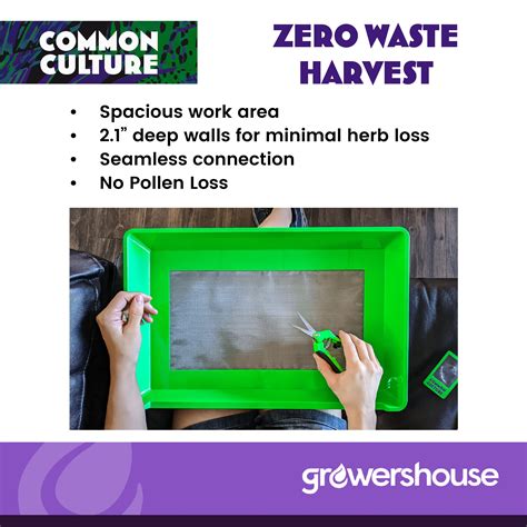 Common Culture Trimming Tray 150 Micron Dry Sift Screen Set 24 Collapsible