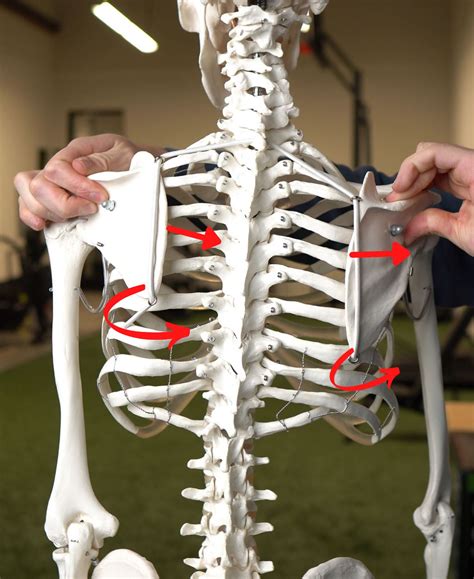 What To Do If You Dont Fit The Left Aic Pattern