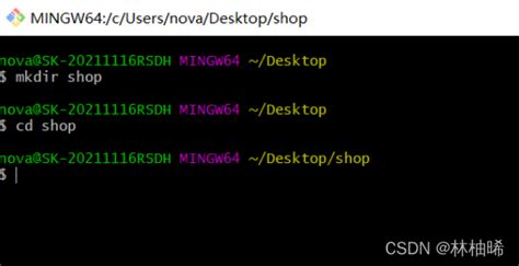 Git管理github指令（保姆级教程）南潇如梦的博客 Csdn博客