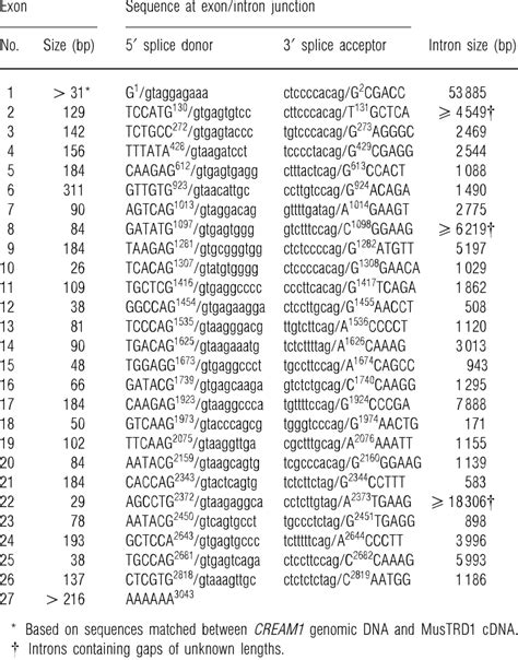 Exon Intron Boundaries In Cream1 Exon Sequences Are In Upper Case Download Table