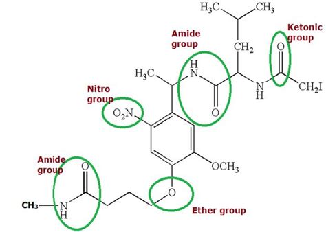 Knowledge Class Relationship Between Structure And Function Of Molecules