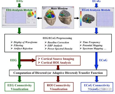 EEG信号处理与分析常用工具包介绍 知乎