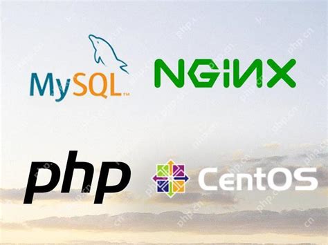 Thinkphp8安装和初始化 Php8 Php中文网 Thinkphp8安装和初始化 Php8 Php中文网