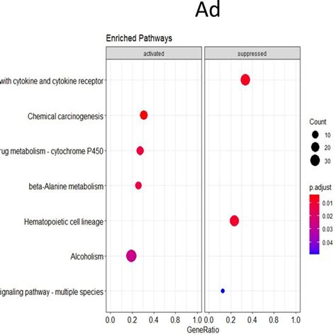 Kyoto Encyclopedia Of Genes And Genomes Kegg Analysis For Comparison