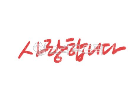 사랑합니다캘리그라피 사랑합니다손글씨 사랑합니다글씨 캘리그라피 고백 사진 이미지 일러스트 캘리그라피 복주머니작가