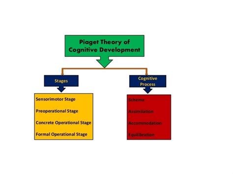 Piaget Theory Cognitive Development PPTX Parenting Babies And Babes Parenting