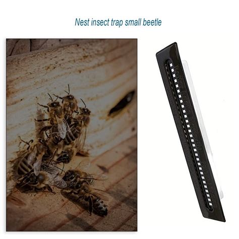 Small Bee Hive Beetle Blaster Beehive Trap Black B Grandado