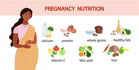 Pregnancy Nutrition Infographic Pregnant Indian Woman Cartoon Character