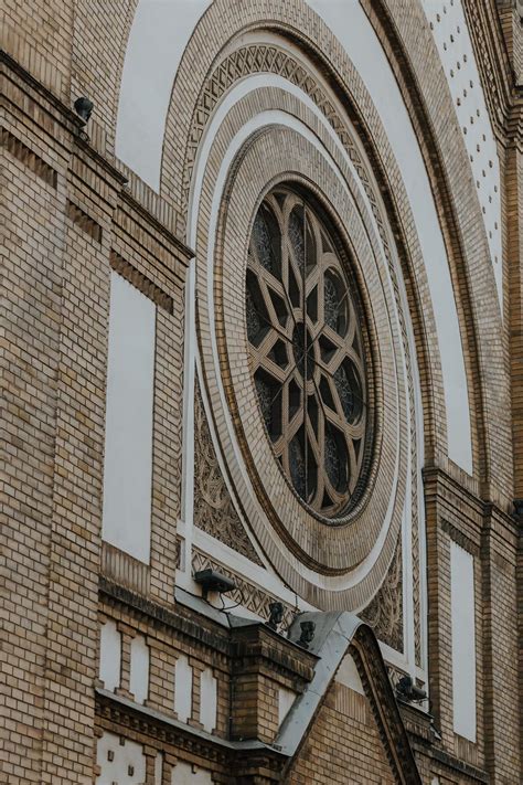 무료 사진 작은 가지 건조 밝은 갈색 텍스처 벽 더러운 그런 지