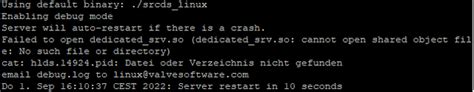 Garrys Mod Dedicated Server Error Linux Rgmod