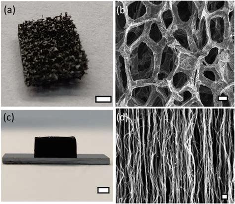 Grown Samples A Optical Image Of A Gf Sample Scale Bar 1 Mm B Download Scientific