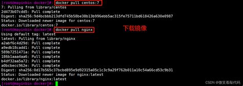 Docker的安装部署及优化详解（汇总版，学习docker这一篇就够了）exec Opts Csdn博客