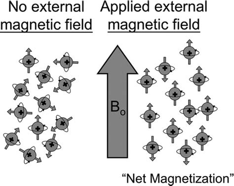Fundamental Physics Of Mr Imaging Radiographics