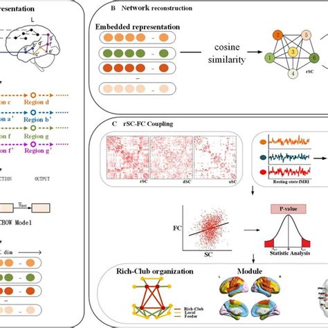 the analysis steps a the process of acquiring embedding download scientific diagram
